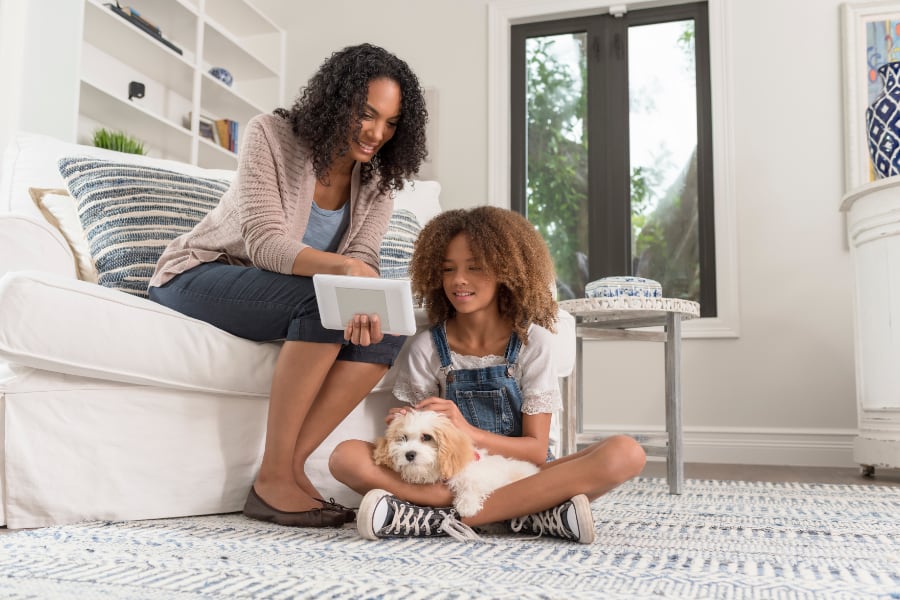 Technology Advancements in Bellingham Home Security Systems | Secure24 ...